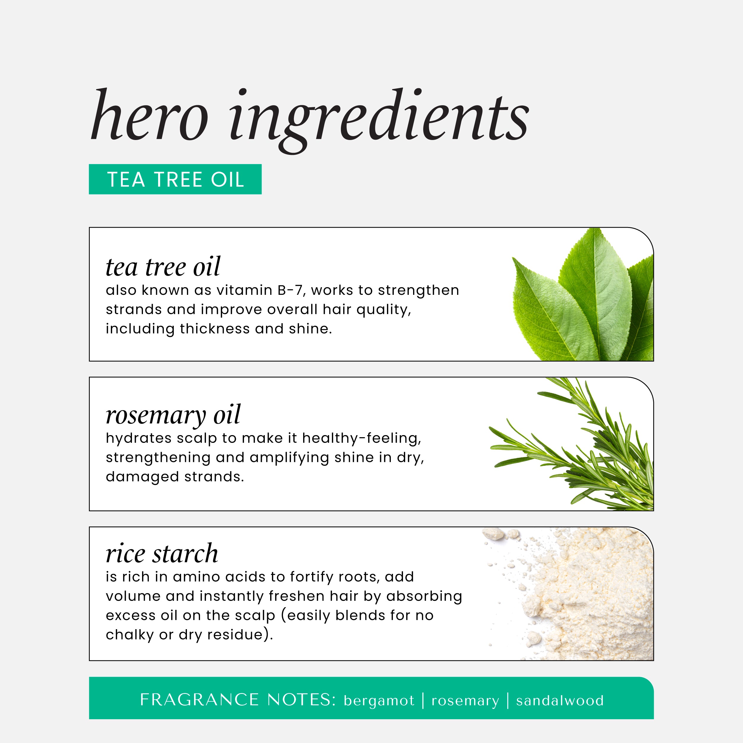 Tea Tree Oil Dry Shampoo – HASK Beauty